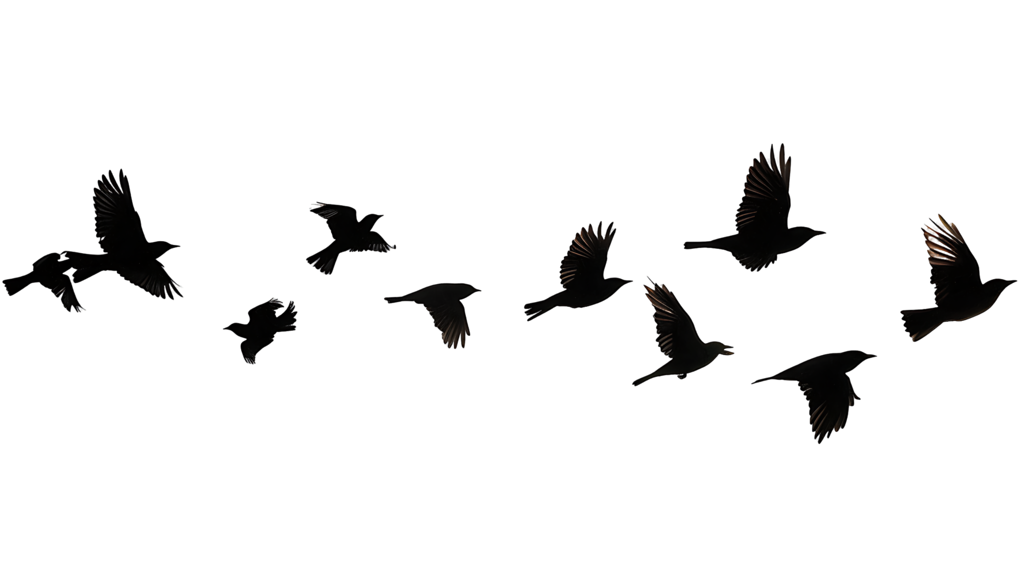 Home - TellUS Report